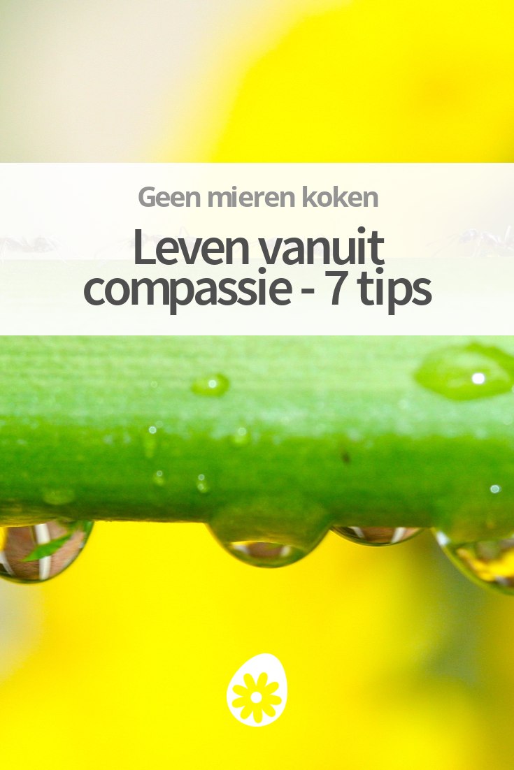 Compassie - 7 Tips om te leven vanuit compassie