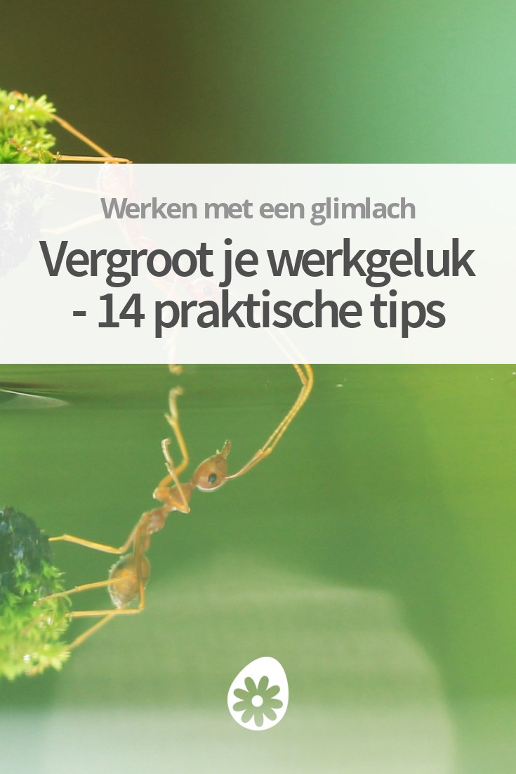 Werkgeluk vergroten - 11 werkgeluk tips