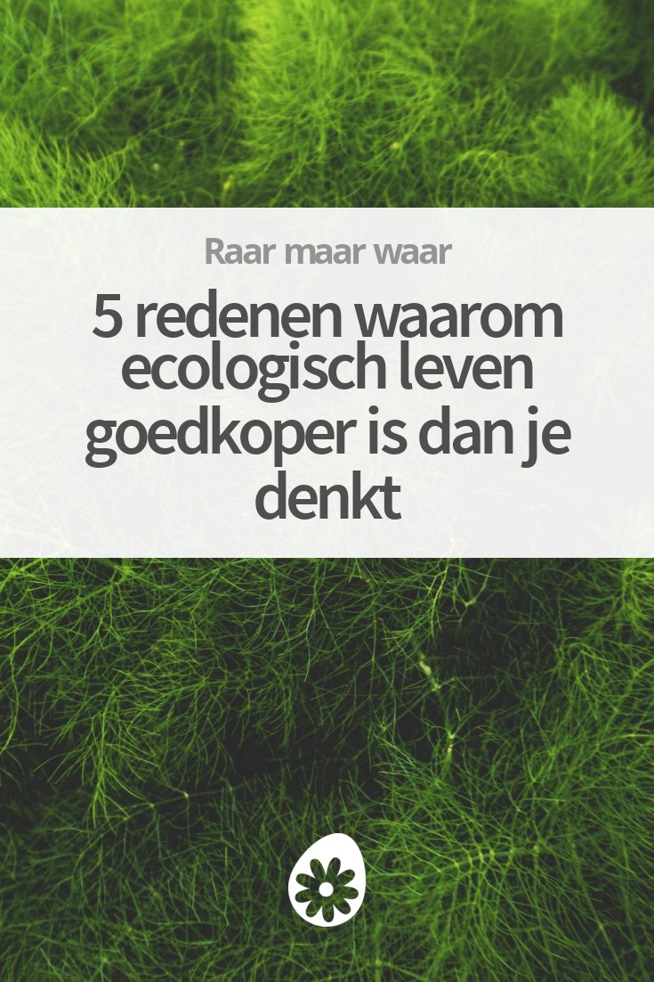 Ecologisch leven - waarom ecologisch leven goedkoop is (5 redenen)