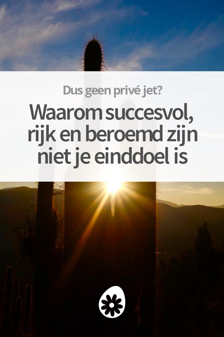 Waarom succesvol, rijk en beroemd zijn niet je einddoel is | soChicken