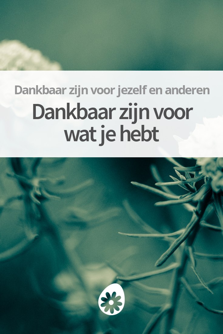 Dankbaar zijn voor wat je hebt | soChicken