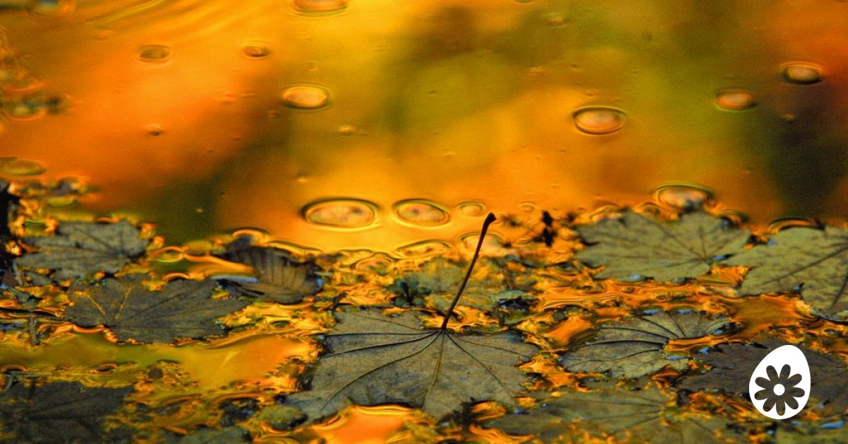 Faalangst: 5 praktische tips tegen faalangst