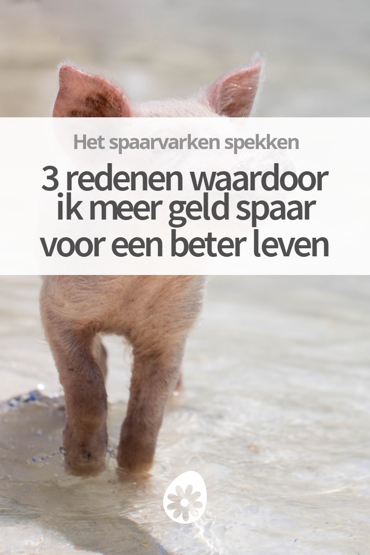3 redenen waardoor ik meer geld spaar voor een beter leven | soChicken