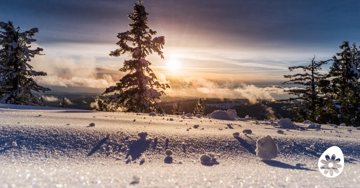Hoe ik een winterdepressie versla met mijn daglichtlamp | soChicken