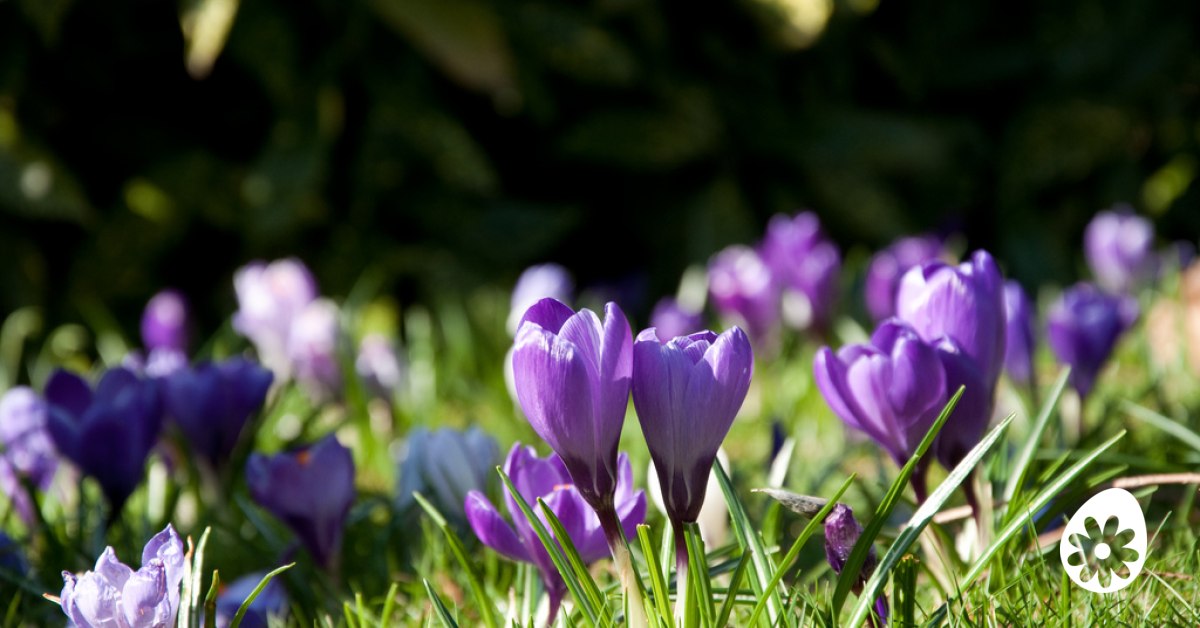 11 manieren om te genieten van de lente | soChicken