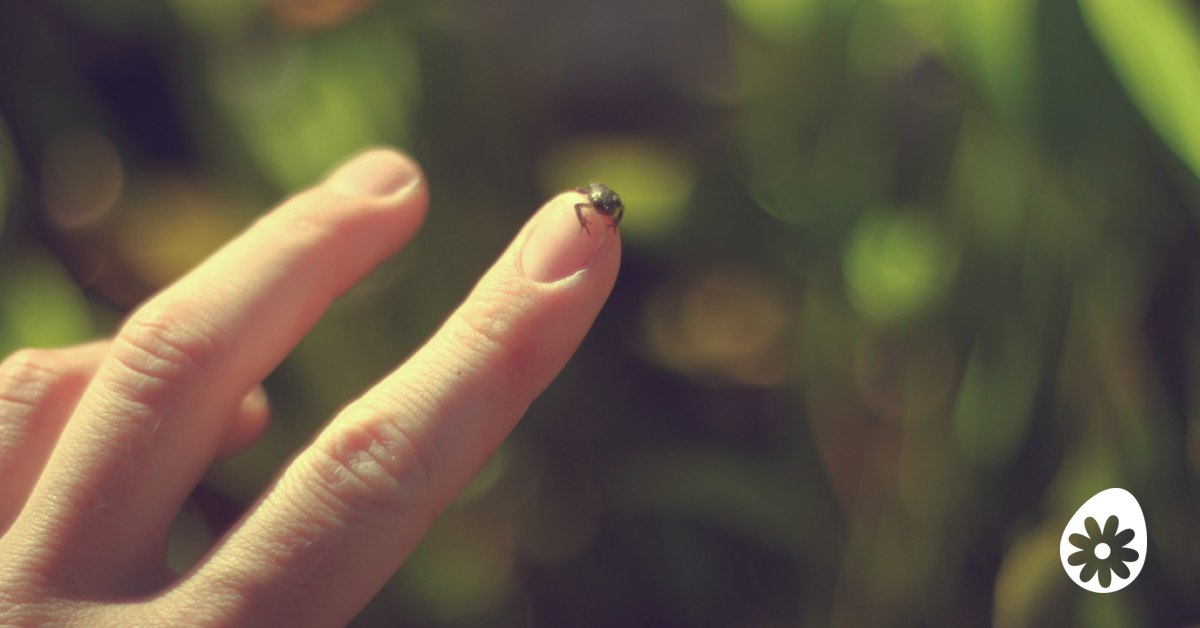 Liefdevol Leven: 3 Oefeningen voor een Liefdevol Leven