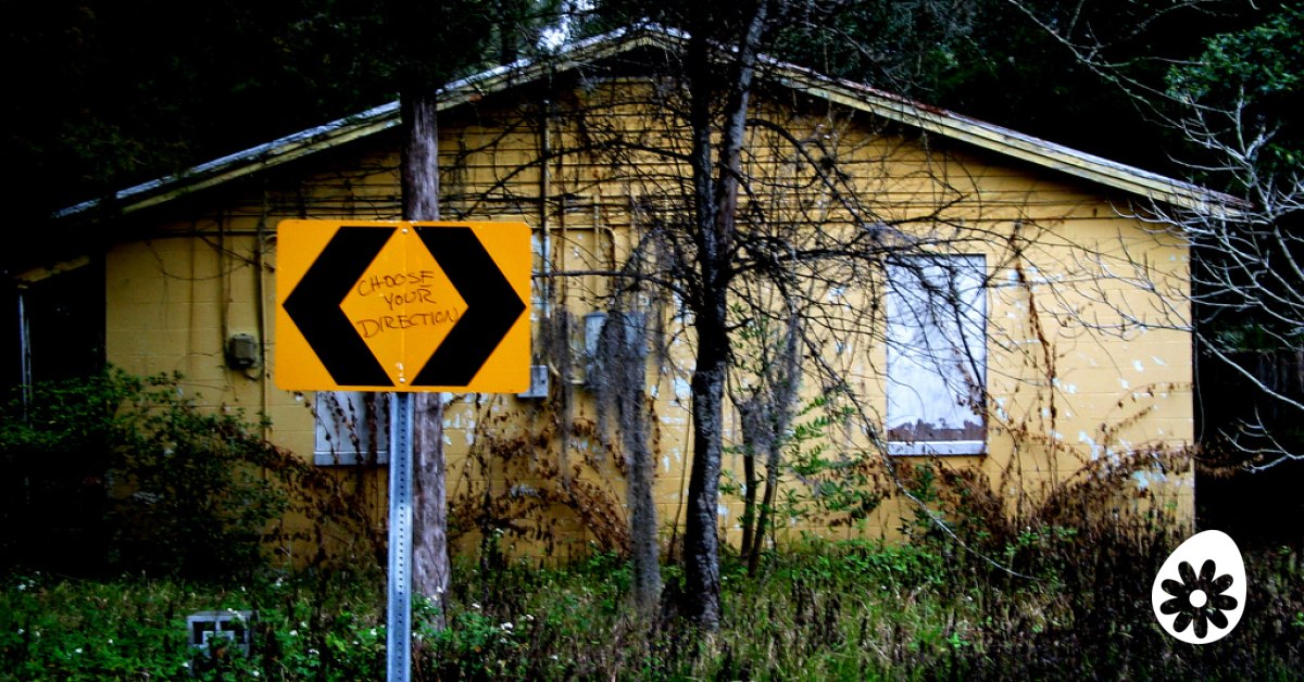 Zo Word je Besluitvaardig | soChicken