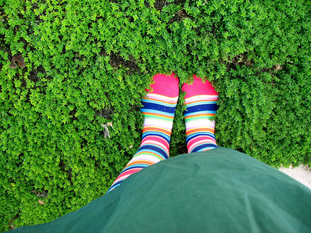 Alles over leren uitstellen op soChicken