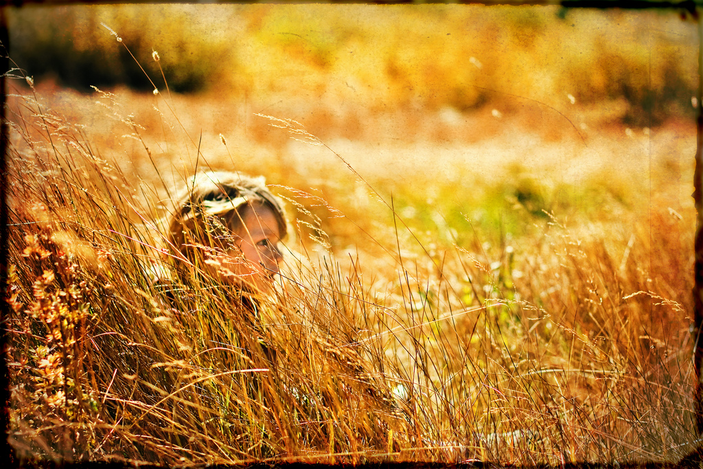 Alles over wat is volwassen op soChicken