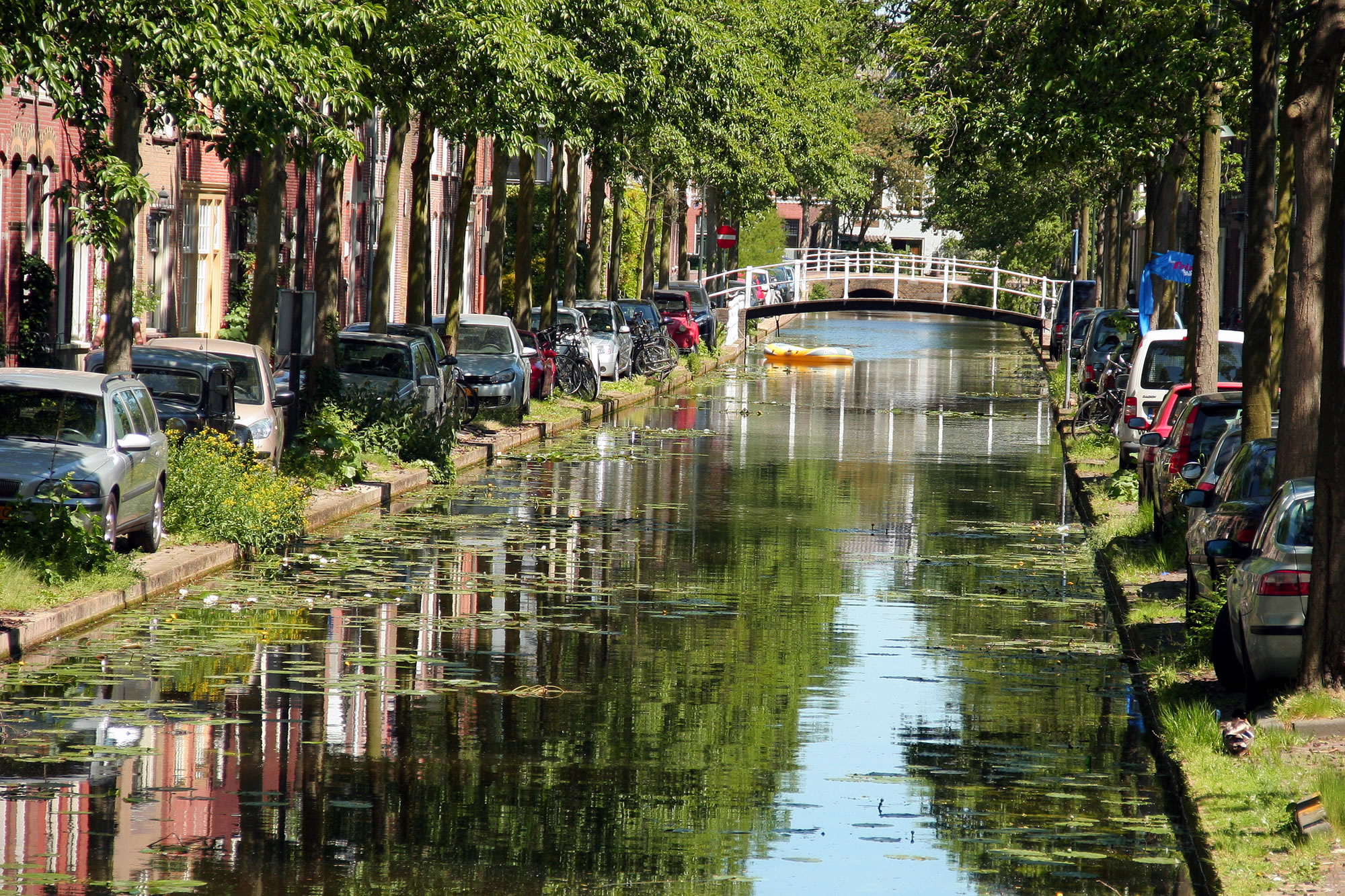 Problemen, Snuffel en kippenvel langs de gracht | soChicken