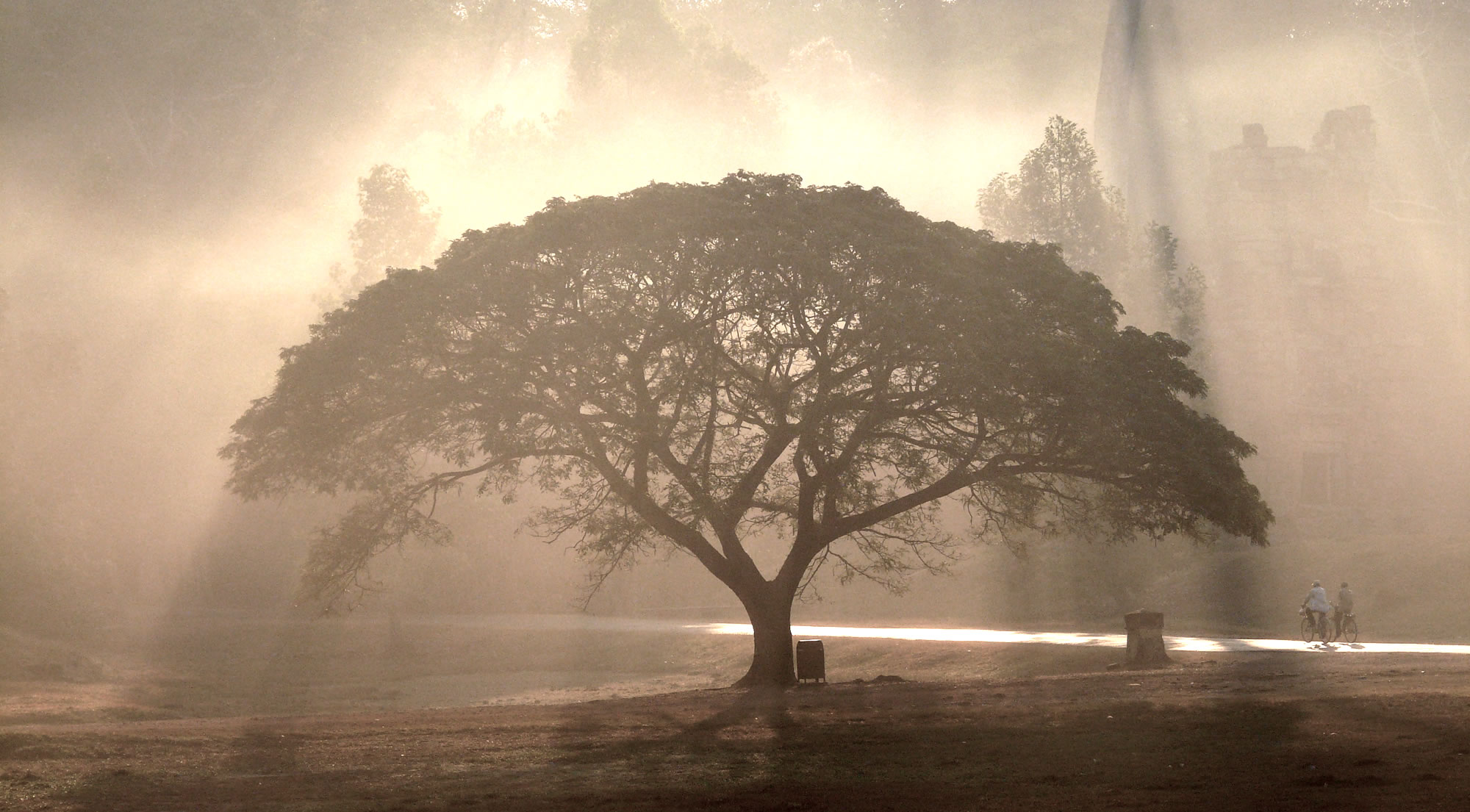 Alles over inlevingsvermogen op soChicken